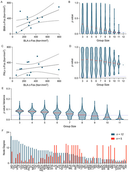 Network Neuroscience Untethered: Brain-Wide Immediate Early Gene ...