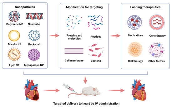 Nanoparticle Based Cardiac Specific Drug Delivery