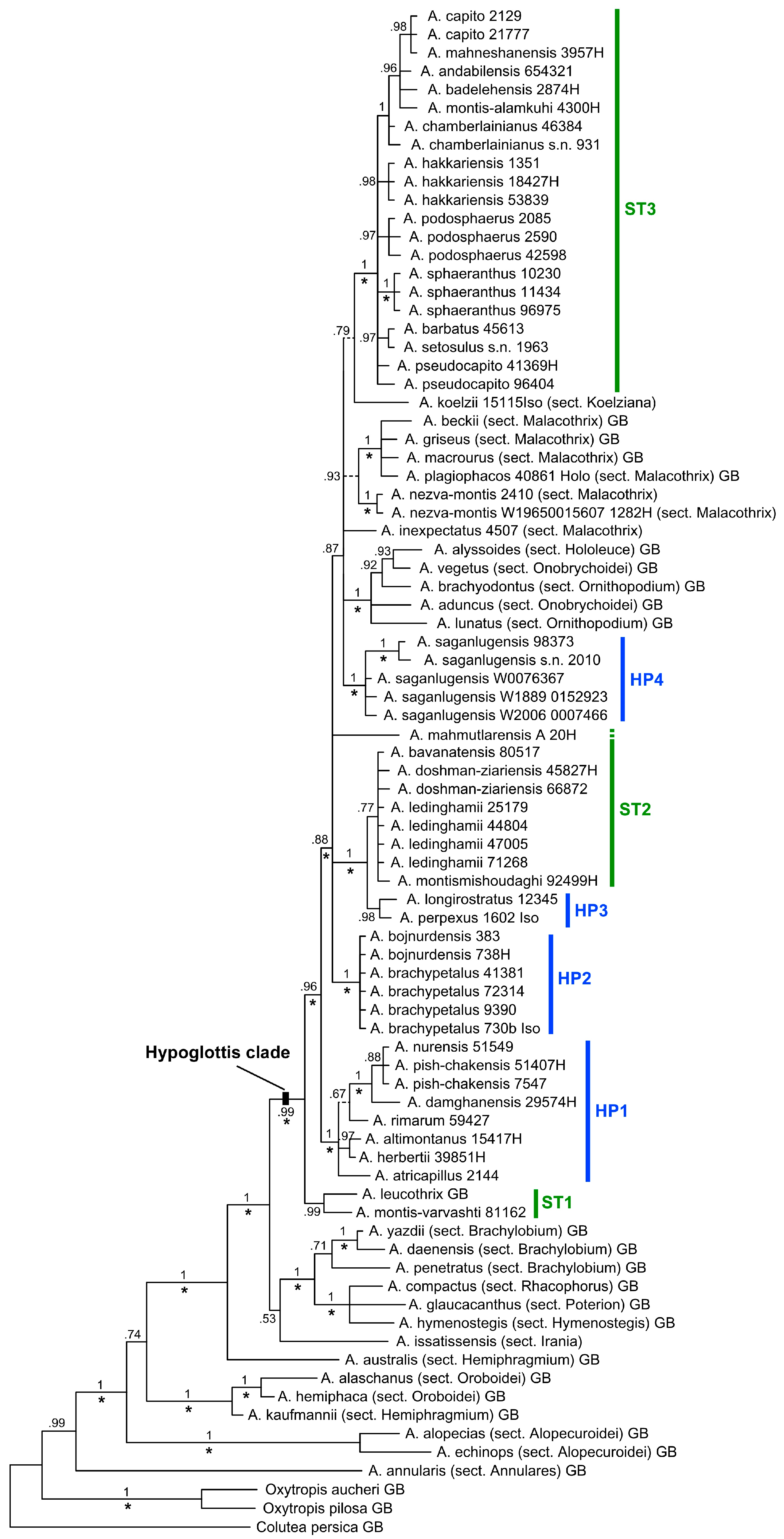Biology | Free Full-Text | Dated Phylogeny of Astragalus Section ...