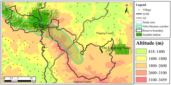 Giant Panda Microhabitat Study in the Daxiangling Niba Mountain Corridor