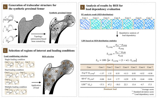 Quantitative Load Dependency Analysis of Local Trabecular Bone Microstructure to Understand the ...