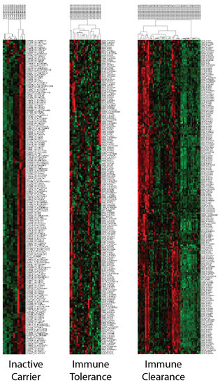 Transcriptomic Analysis of Hepatitis B Infected Liver for Prediction of ...
