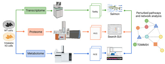 Exploiting Multi-Omics Profiling and Systems Biology to Investigate ...