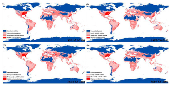 Projected Effects of Climate Change on Species Range of Pantala ...