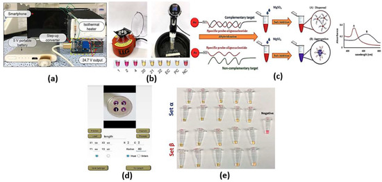 Overview of Optical Biosensors for Early Cancer Detection: Fundamentals ...