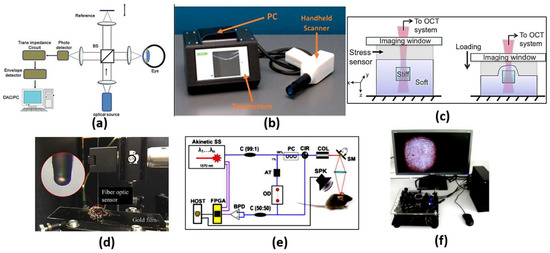 Overview of Optical Biosensors for Early Cancer Detection: Fundamentals ...
