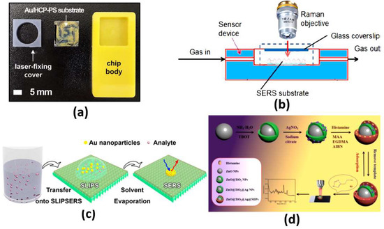 Overview of Optical Biosensors for Early Cancer Detection: Fundamentals ...