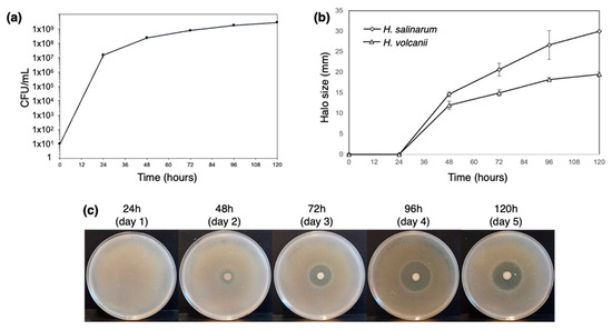 Towards the Understanding of the Function of Lanthipeptide and TOMM ...