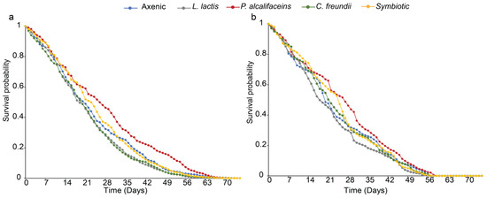 Friend or Foe: Symbiotic Bacteria in Bactrocera dorsalis–Parasitoid Associations