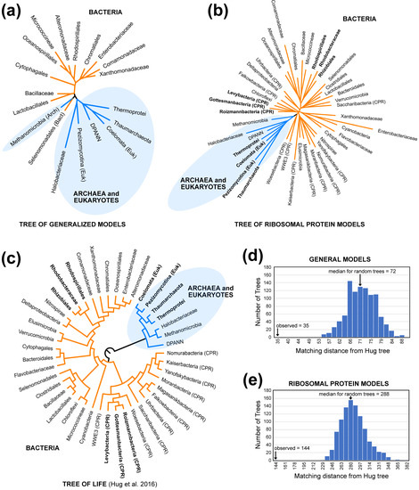 The Structure of Evolutionary Model Space for Proteins across the Tree ...