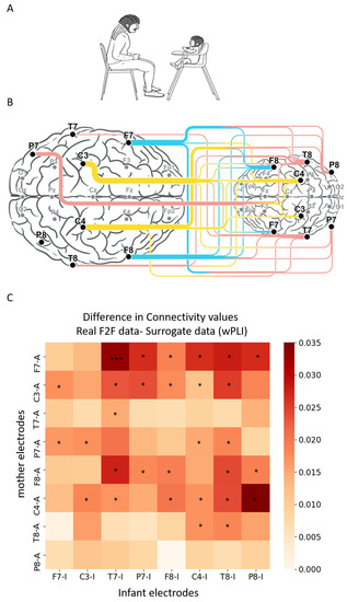 Biology | Free Full-Text | Mother–Infant Brain-to-Brain Synchrony Patterns Reflect Caregiving ...