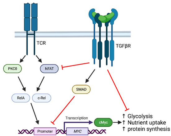 Regulation of T Cell Activation and Metabolism by Transforming Growth ...