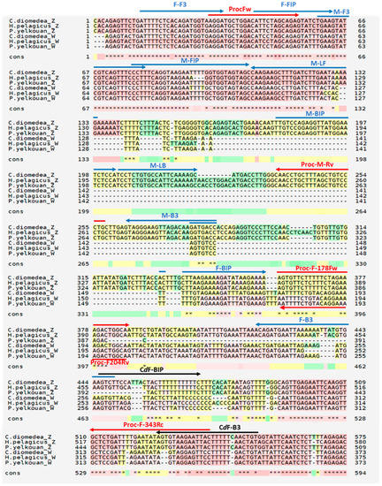 High-Performance PCR for Alleles Discrimination of Chromo-Helicase-DNA ...