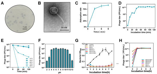 Salmonella Phage CKT1 Effectively Controls the Vertical Transmission of ...
