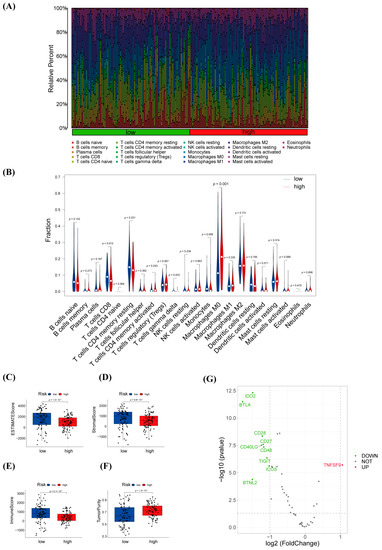 Identification Of Wnt β Catenin And Autophagy Related Lncrna Signature