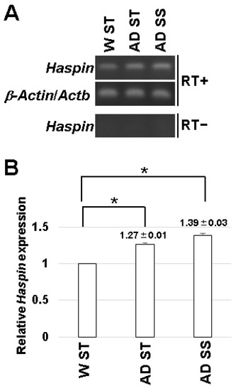 Ingestion of Soybean Sprouts Containing a HASPIN Inhibitor Improves ...