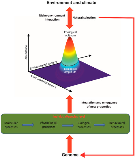 Towards an Understanding of Large-Scale Biodiversity Patterns on Land ...