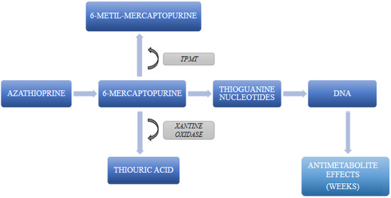 Immunosuppressive Therapy of Biopsy-Proven, Virus-Negative, Autoimmune ...