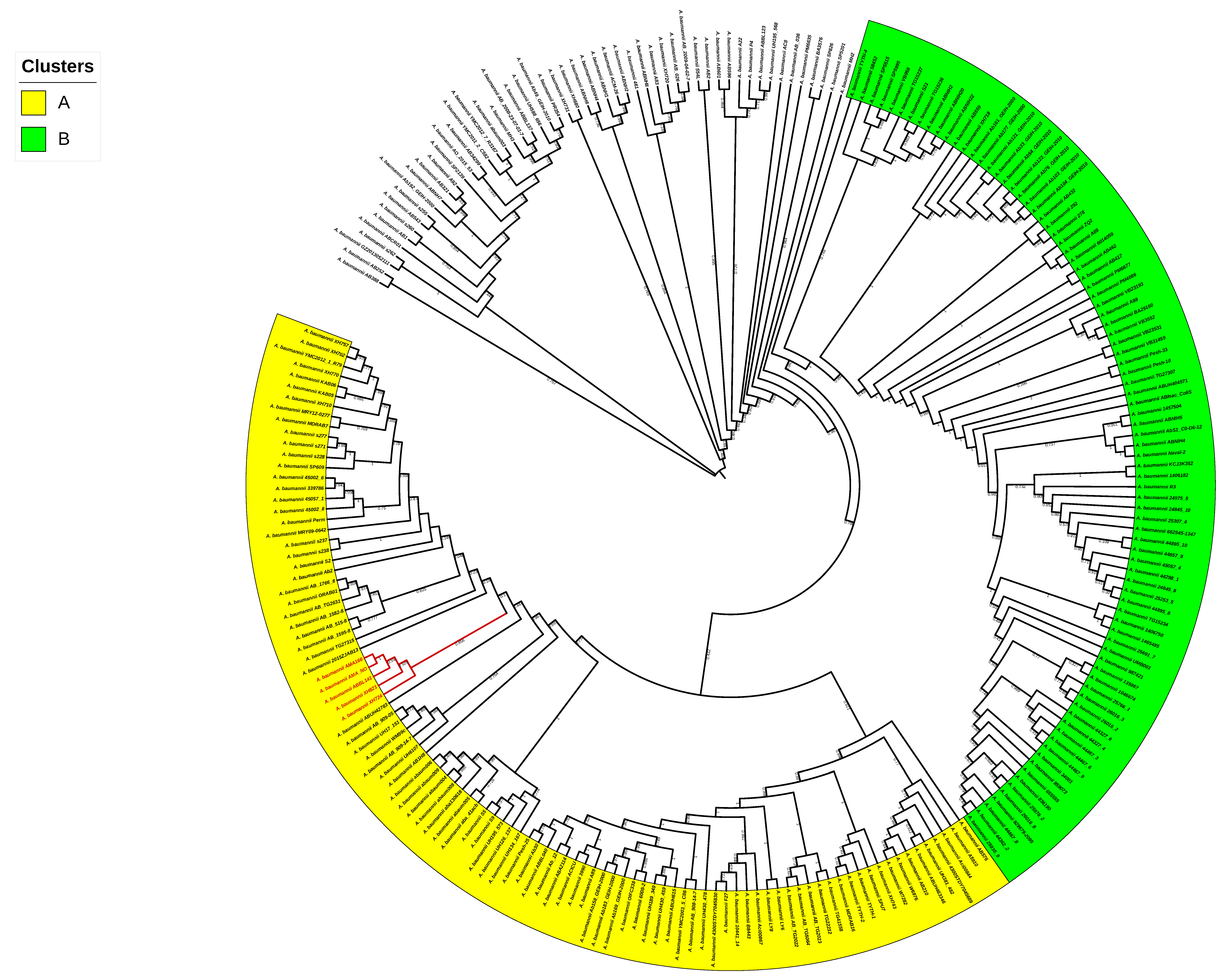 Genomic Comparative Analysis of Two Multi-Drug Resistance (MDR ...