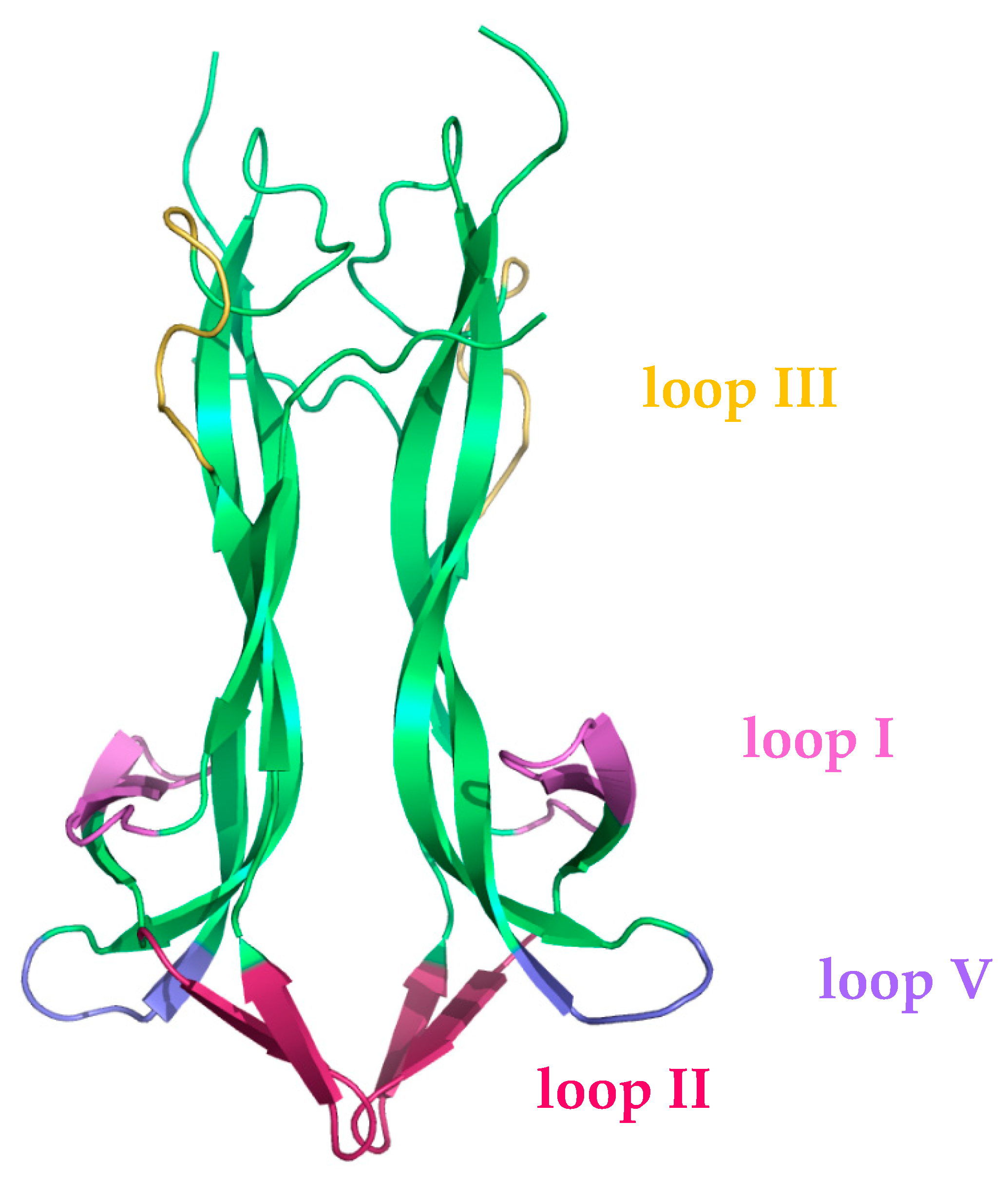The NGF R100W Mutation, Associated with Hereditary Sensory Autonomic ...