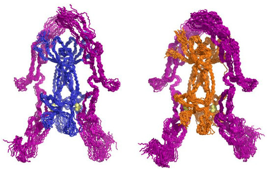 The NGF R100W Mutation, Associated with Hereditary Sensory Autonomic Neuropathy Type V ...