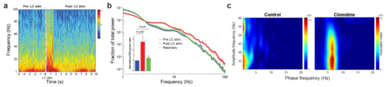 Neuromodulation of Neural Oscillations in Health and Disease
