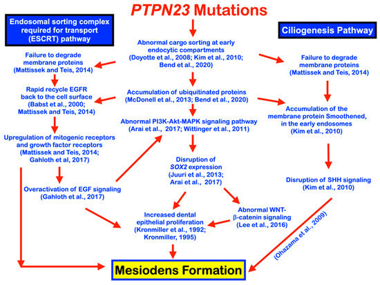 Genetic Variants in Protein Tyrosine Phosphatase Non-Receptor Type 23 ...