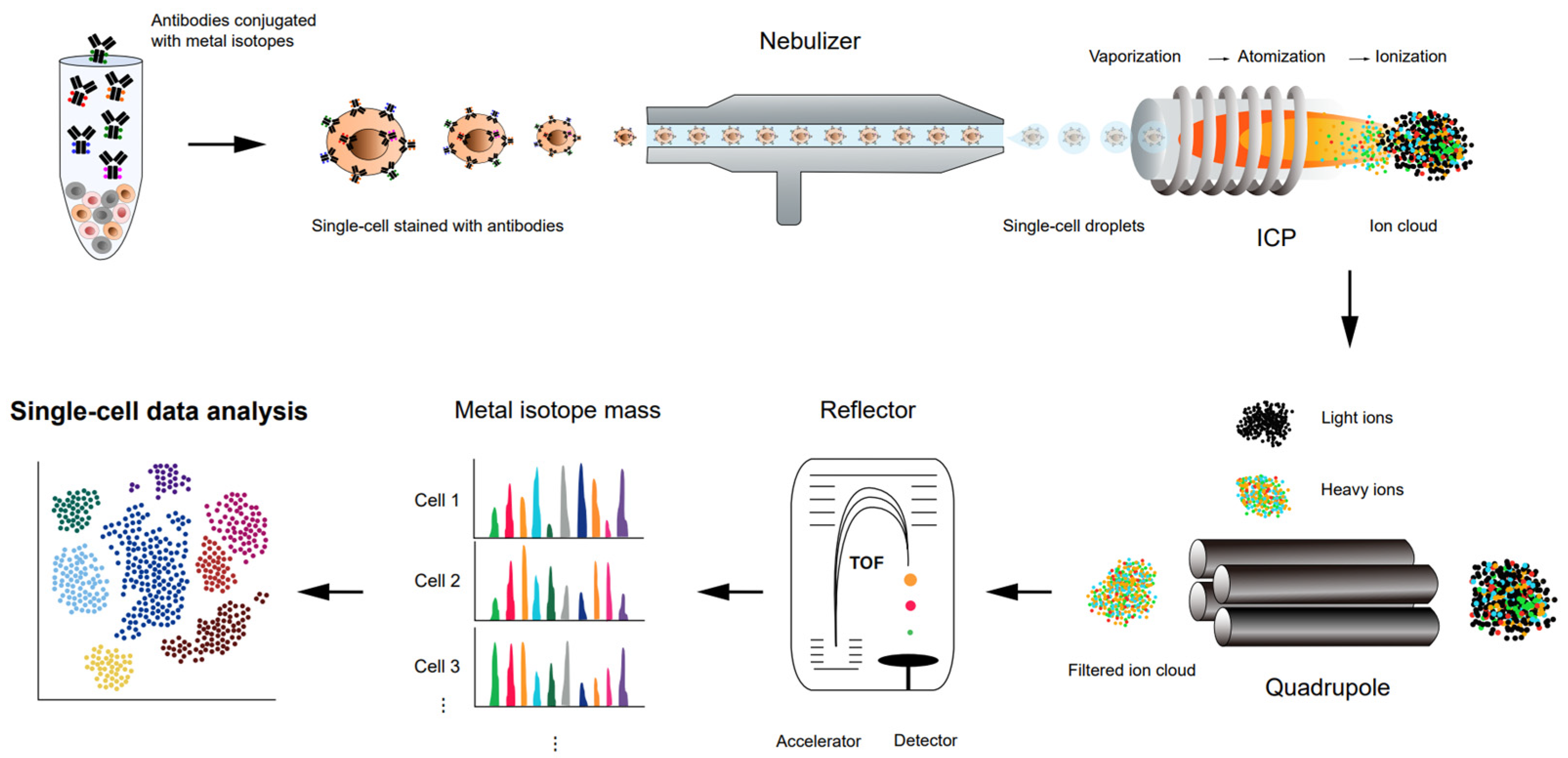Biology Free Full Text Advances In Mass Spectrometry Based Single
