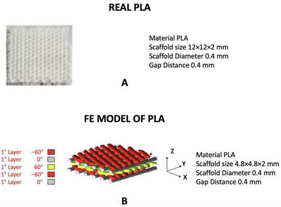 Physiologic Response Evaluation of Human Foetal Osteoblast Cells within ...