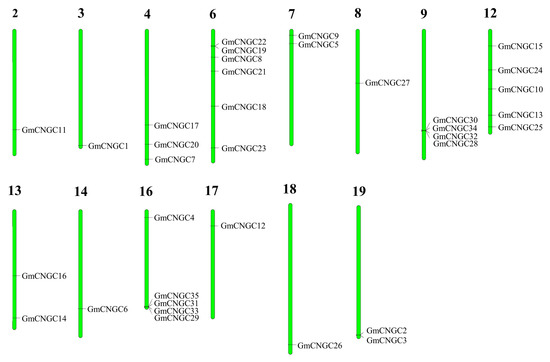 Identification of CNGCs in Glycine max and Screening of Related ...