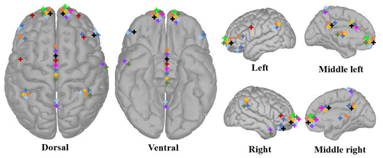 Specific Neural Mechanisms of Self-Cognition and the Application of ...