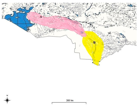 Current State of Rare and Endangered Barbels of the Genus Luciobarbus ...