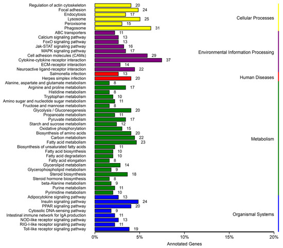 Biology | Free Full-Text | Physiological, Nutritional and ...