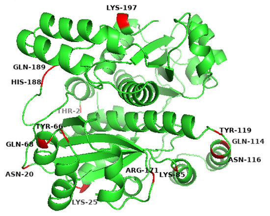 N20D/N116E Combined Mutant Downward Shifted the pH Optimum of Bacillus ...