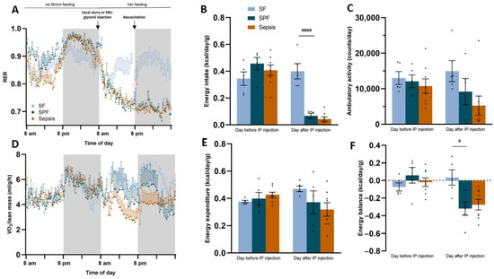 Sepsis-like Energy Deficit Is Not Sufficient to Induce Early Muscle ...