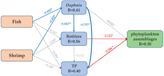 The Effects of Intraguild Predation on Phytoplankton Assemblage ...