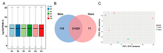 Identification of Critical Genes for Ovine Horn Development Based on ...