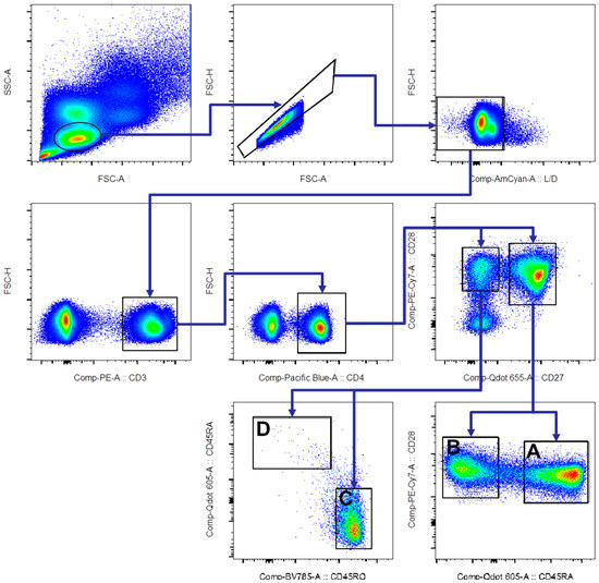 Mitochondrial Dysfunction in CD4+ T Effector Memory RA+ Cells