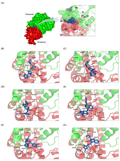 Integration of Chemoinformatics and Multi-Omics Analysis Defines ECT2 ...