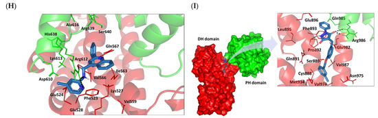 Integration of Chemoinformatics and Multi-Omics Analysis Defines ECT2 ...