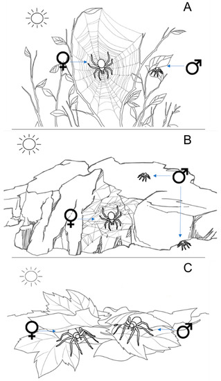 Biology | Free Full-Text | Climate Change, Extreme Temperatures and Sex ...