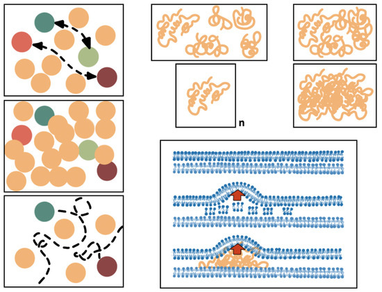 Bacterial Subcellular Architecture, Structural Epistasis, and ...