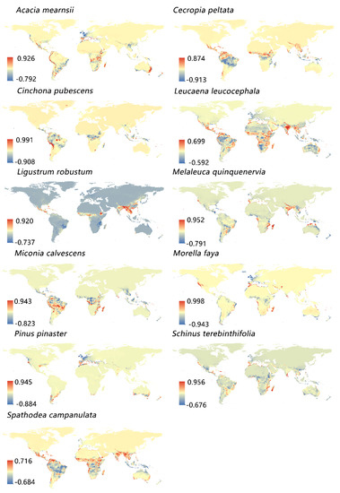 Comparing the Performance of CMCC-BioClimInd and WorldClim Datasets in ...
