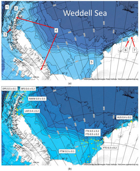 Animal–Energy Relationships in a Changing Ocean: The Case of ...