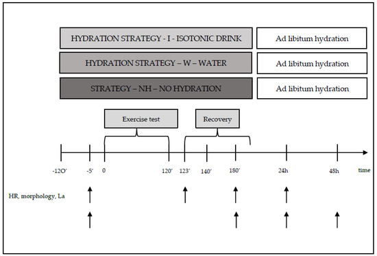 The Influence of Various Hydration Strategies (Isotonic, Water, and No ...