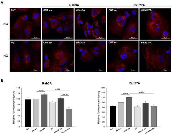 Biology | Free Full-Text | Rab3A/Rab27A System Silencing Ameliorates ...