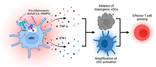 Activation, Amplification, and Ablation as Dynamic Mechanisms of ...