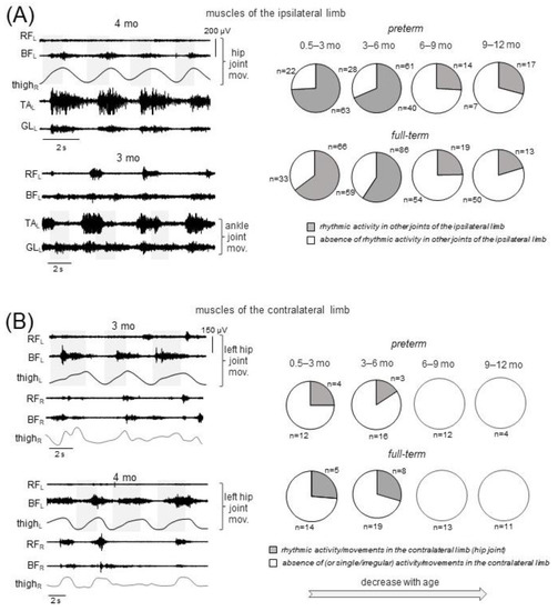 Muscle Activity during Passive and Active Movements in Preterm and Full ...