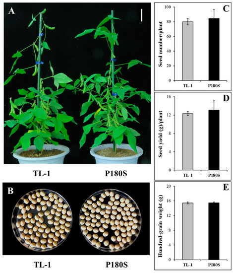 Generation of Herbicide-Resistant Soybean by Base Editing