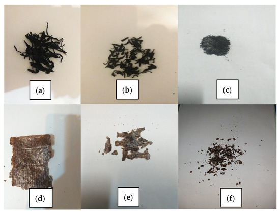 Phytoremediation of Wastewater Containing Lead and Manganese Ions Using ...